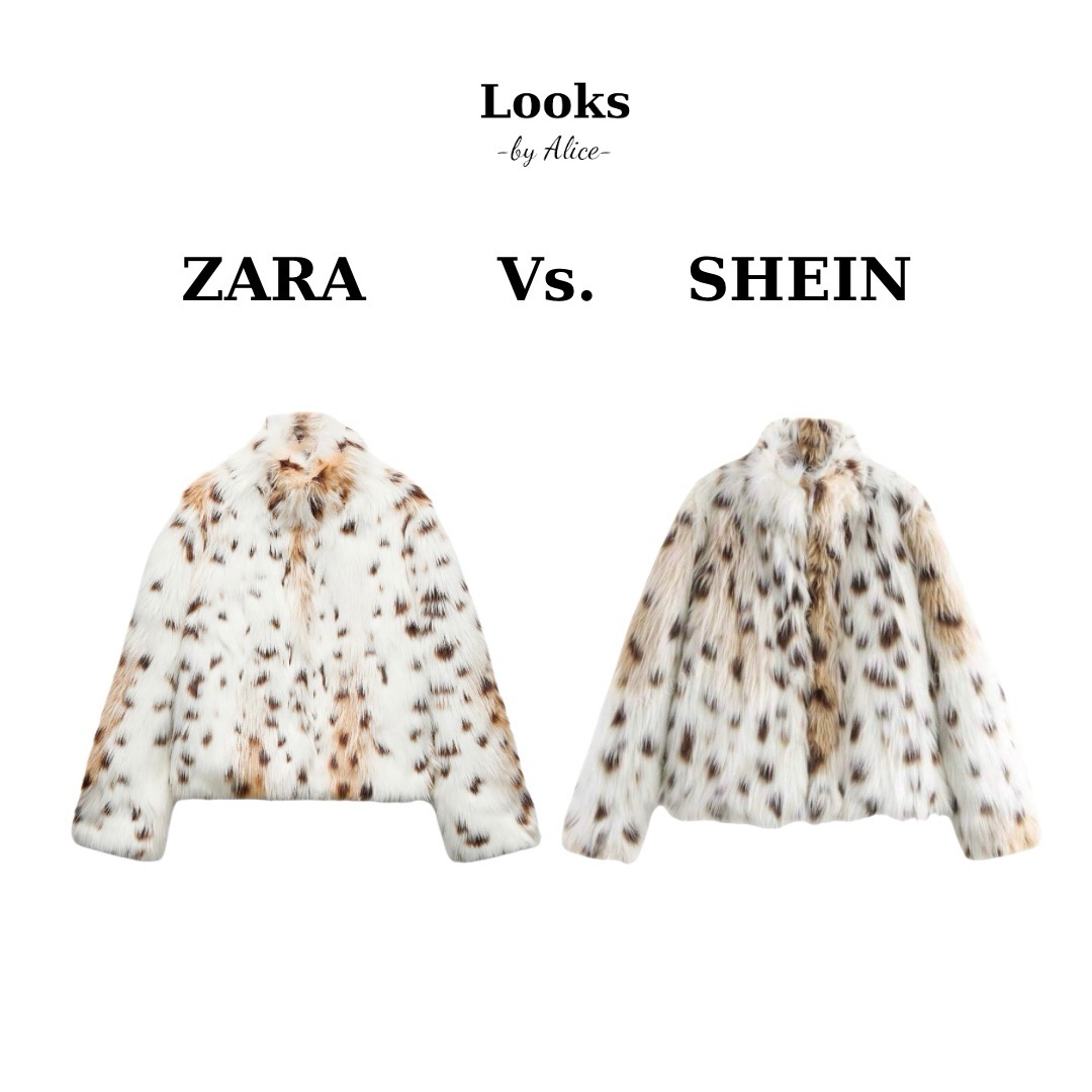 Zara Vs Shein – Alice Lupu